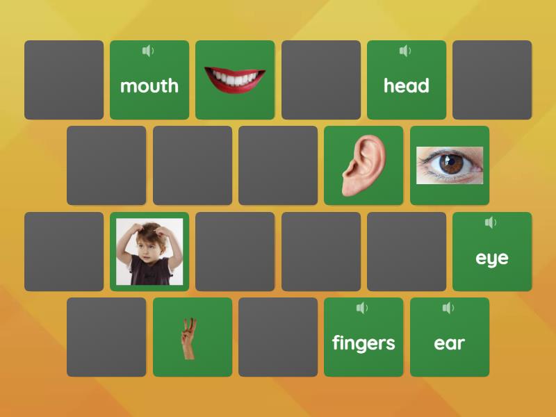 Body Parts memory - Matching pairs