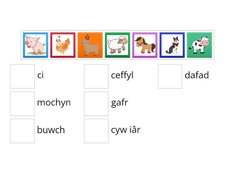 Farm animals in Welsh - Match up