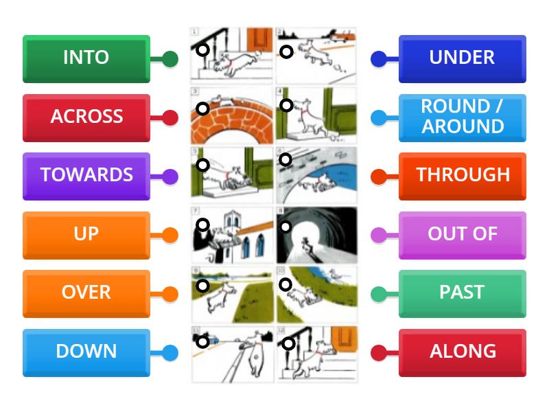 EXPRESSING MOVEMENT - Diagrama con etiquetas