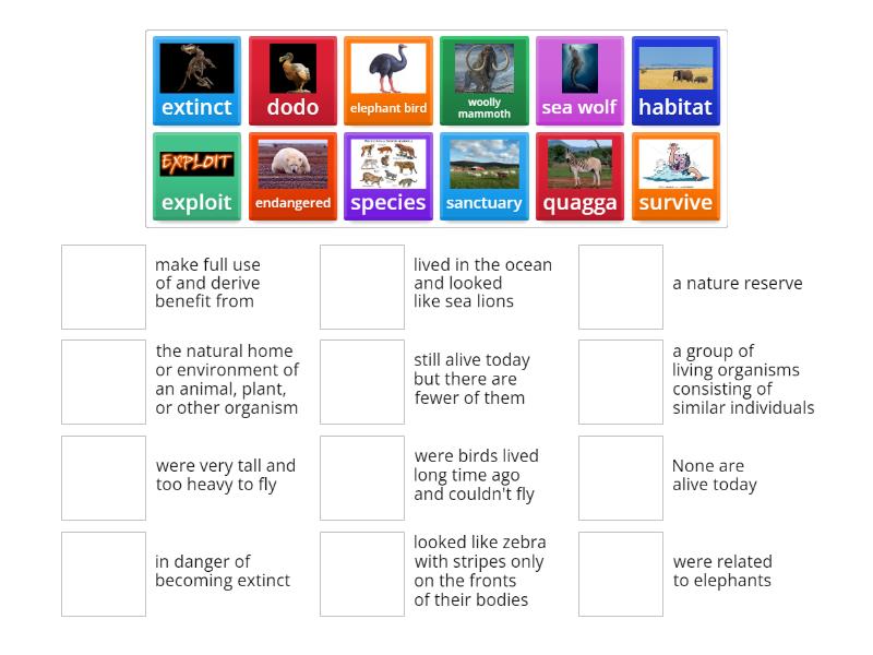 Unit 1 Vocabulary: Why do we protect animals? - Match up