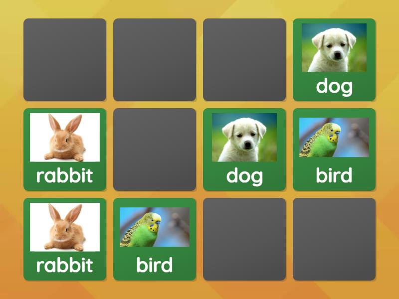 PETS - Matching pairs