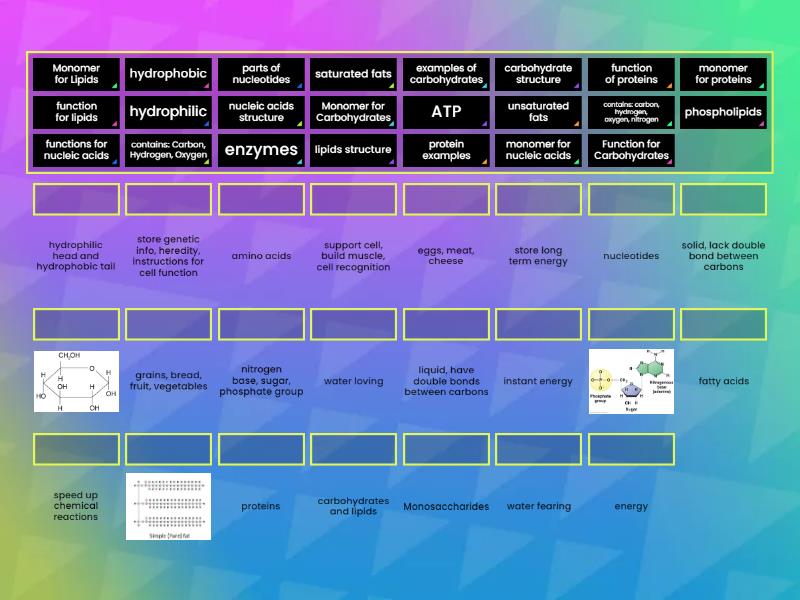 Macromolecules Review - Match up