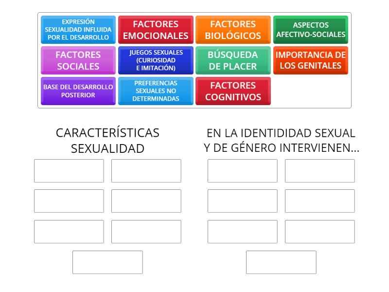CARACTERÍSTICAS SEXUALIDAD E IDENTIDAD SEXUAL/GÉNERO. REPASO PUNTO 3 - Group sort