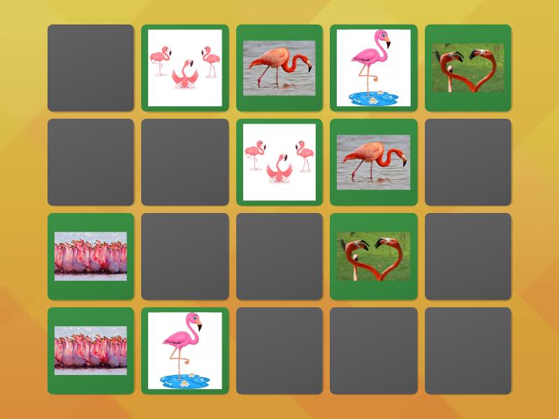 Flamingo Memory #Meester Max - Parejas