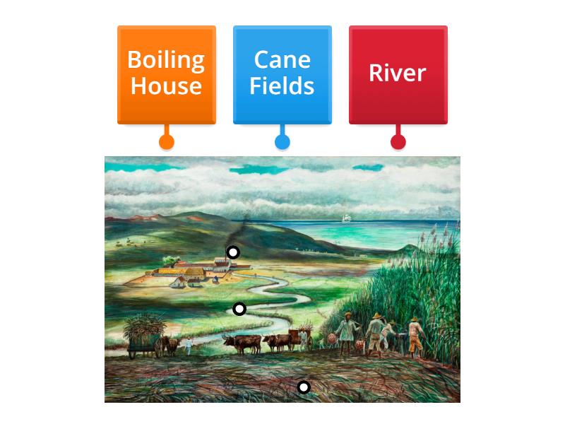 18th Century Caribbean Sugar Plantation - Labelled diagram