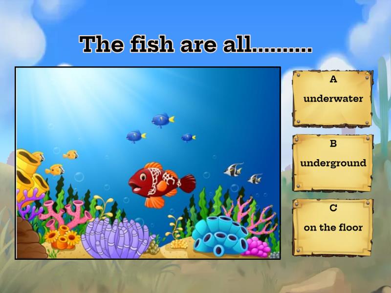 FF4 unit 7 lesson 2 - Quiz