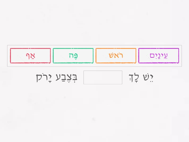 Complete the Hebrew sentence - body parts - Complete the sentence