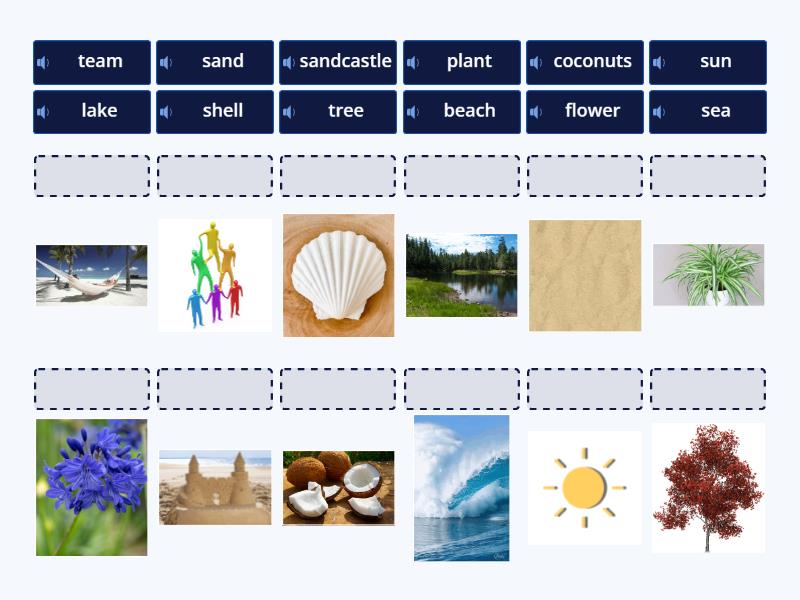 Beehive 1 Unit 4 story + extra - Match up