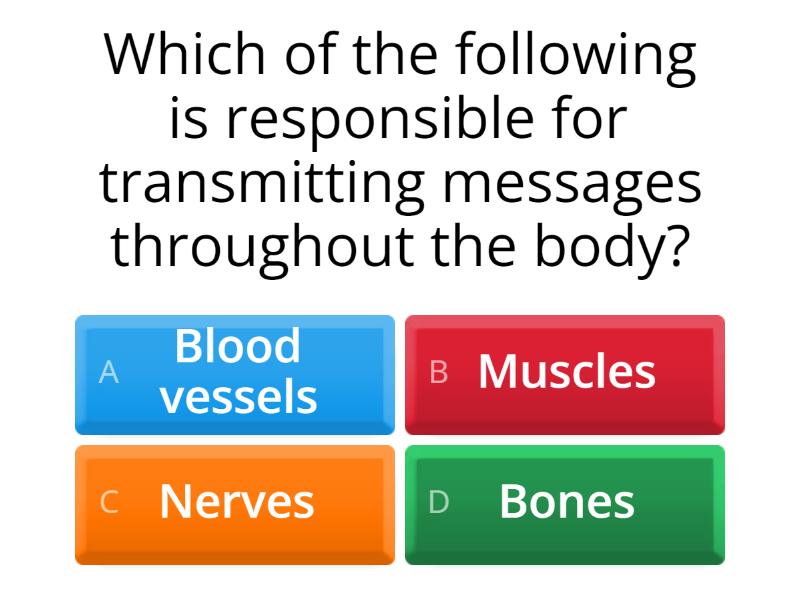 Nervous System - Quiz