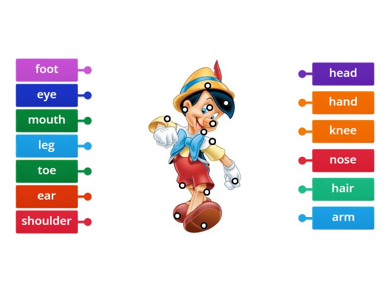 Pinocchio - Parts of the Body - Labelled diagram