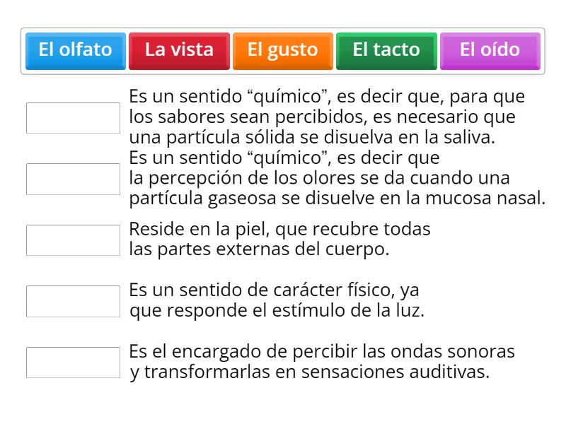 Los cinco Sentidos - Match up