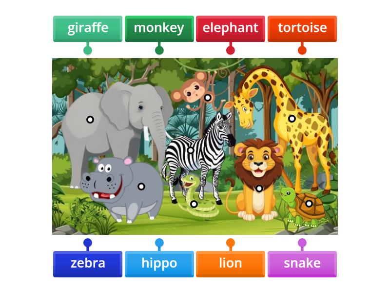 Wild Animals - Labelled diagram