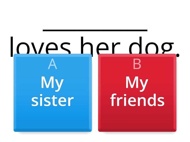 Matching subject and verb (simple present tense) - Quiz