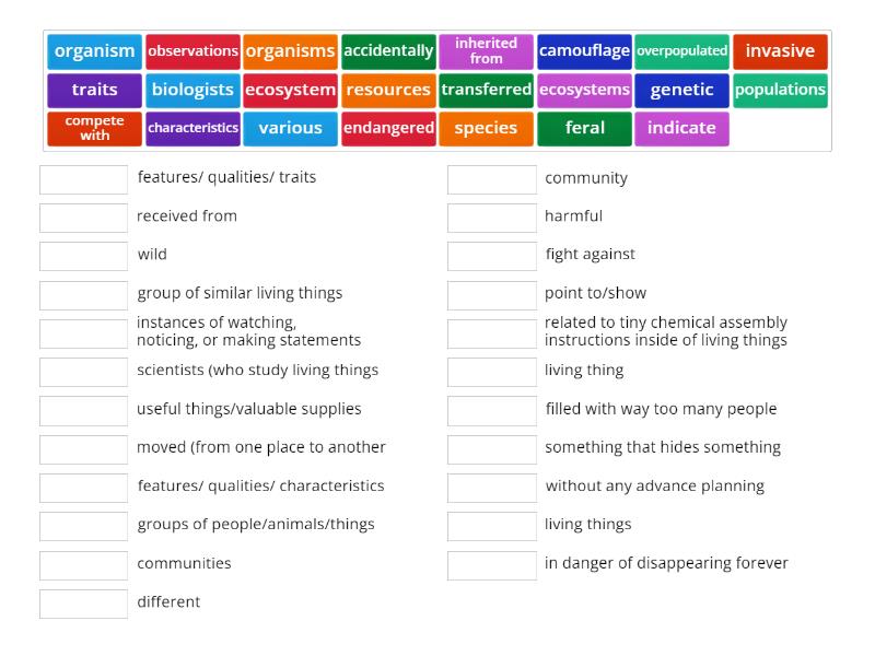 Competition in Ecosystems-Key words and definitions - Match up