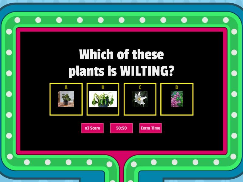 Pt 1 Tashi & the Big Stinker Visual Recap Vocabulary Words Quiz ...