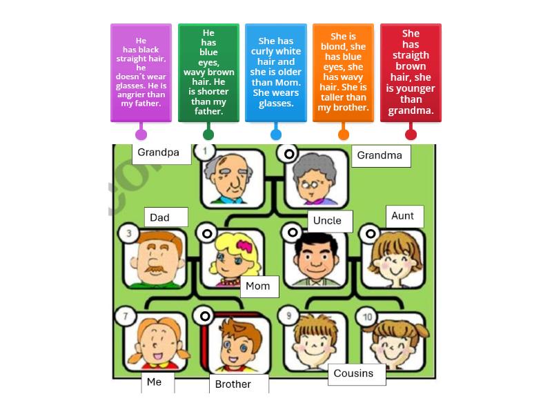 Describing and comparing family - Labelled diagram