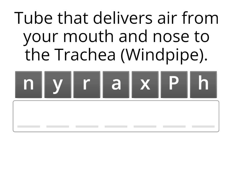 Science 9 Module 1 Unit 1 Activity 1 - Anagram