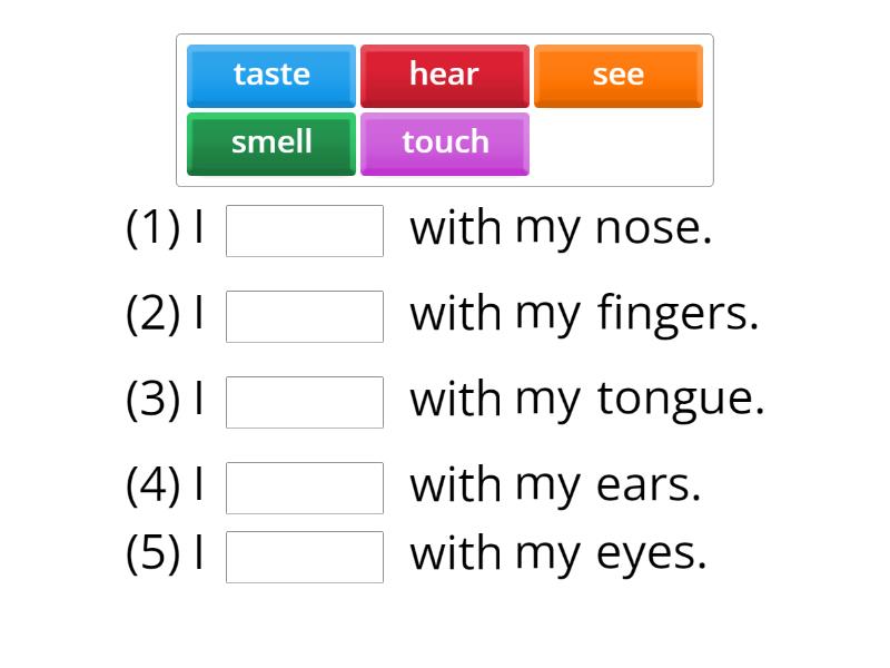 Five Senses Lesson 2a - Complete the sentence