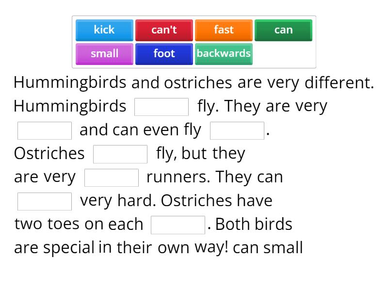 Birds - Complete the sentence