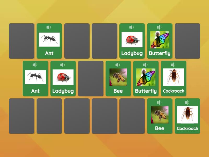 Bugs - Memory game with audio - Matching pairs