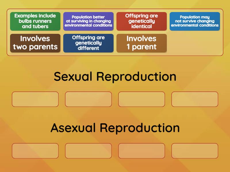 S3 BGE 3.3 Sexual Vs Asexual Reproduction - Group sort