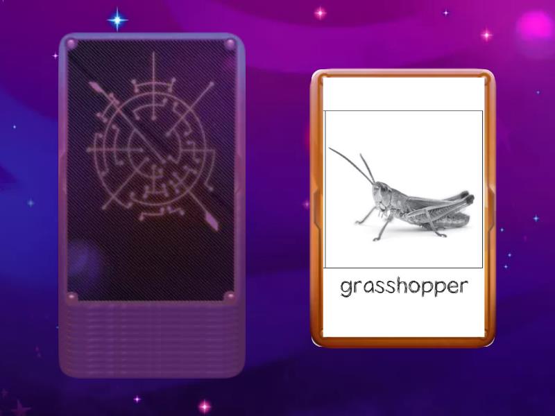 Bingo - Random cards