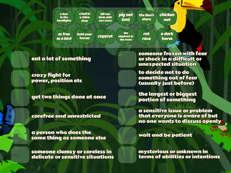 Animal Idioms 1 - Match up