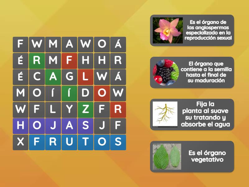 parte de la planta - Sopa de letras