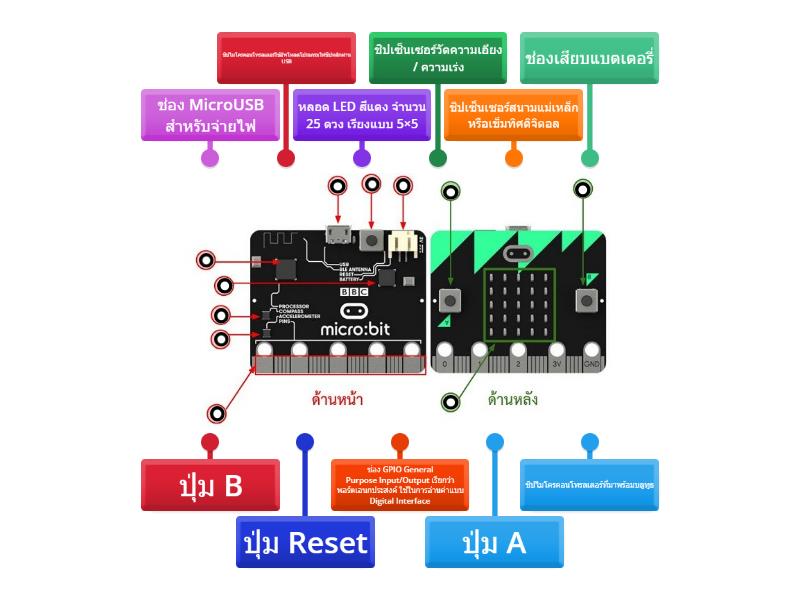 ส่วนประกอบของ Microbit - Labelled diagram