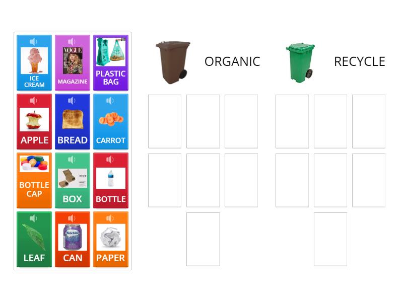 ESL - ORGANIC TRASH vs. RECYCLE TRASH - Group sort