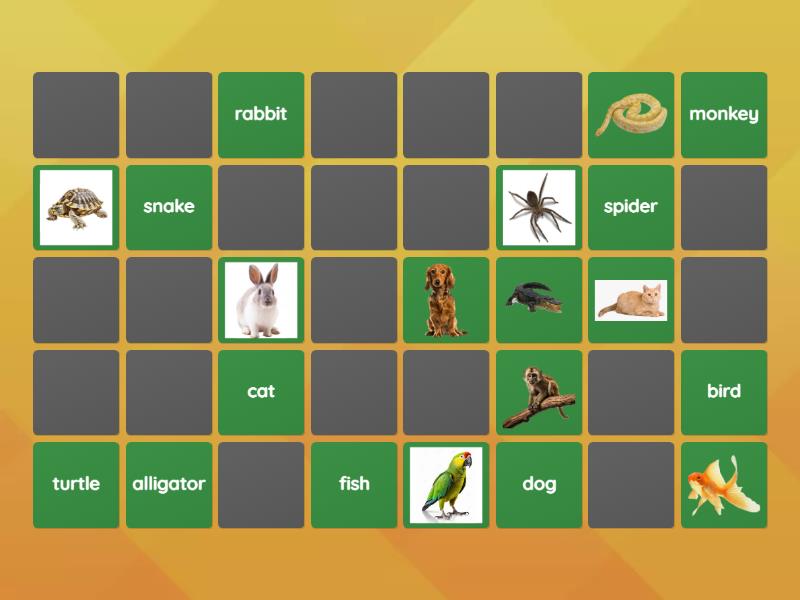 Animal Pairs - Matching pairs