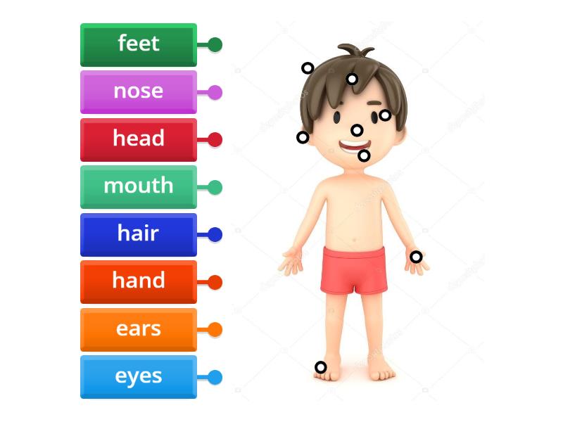 My Body Parts - Labelled diagram