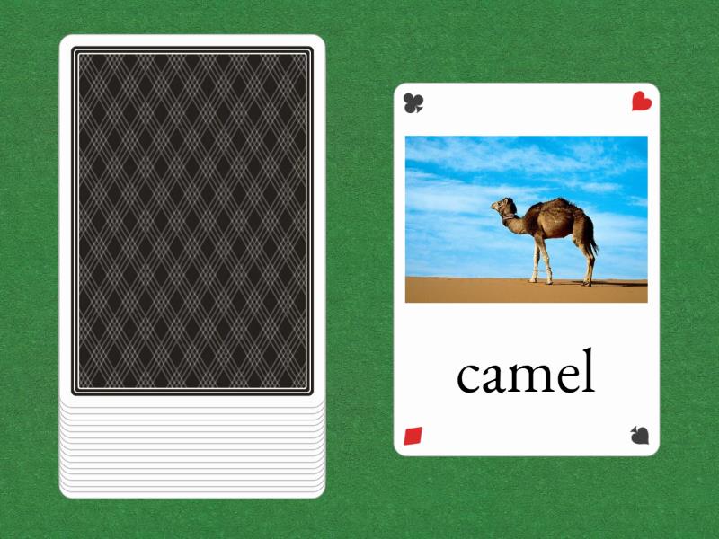 animals - Speaking cards