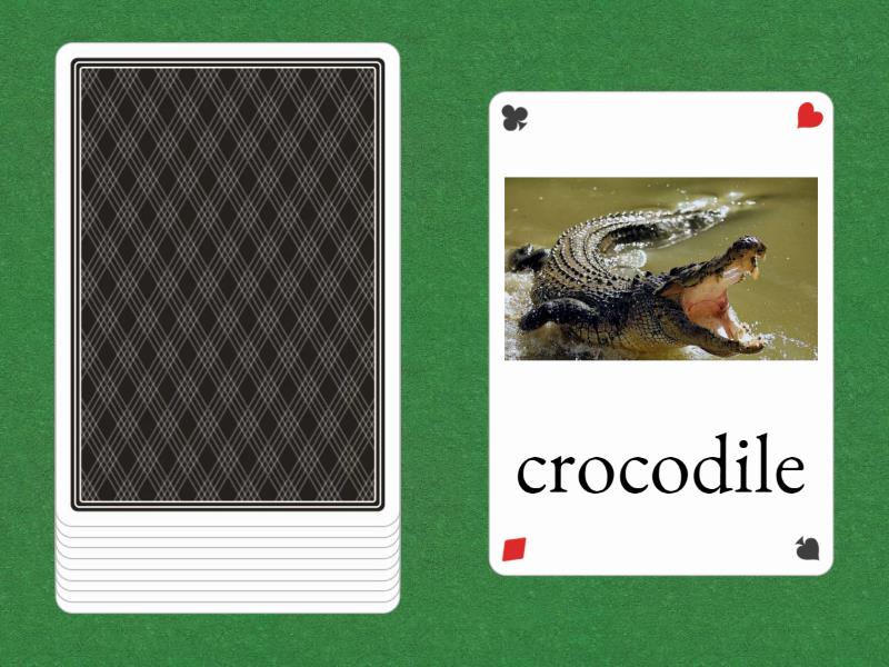 Wild animals - Speaking cards