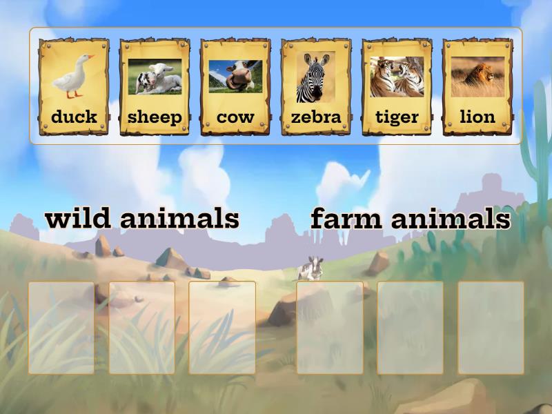 Animals - Group sort