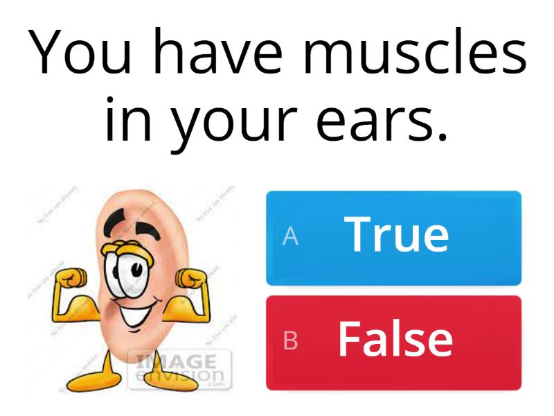 Module: My body in numbers - Quiz