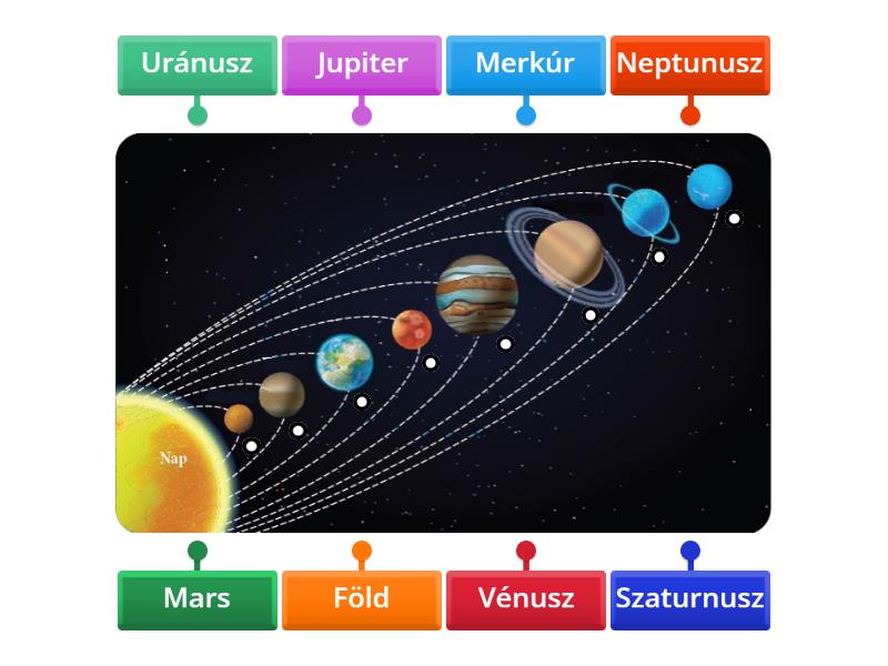 Naprendszer - Labelled diagram