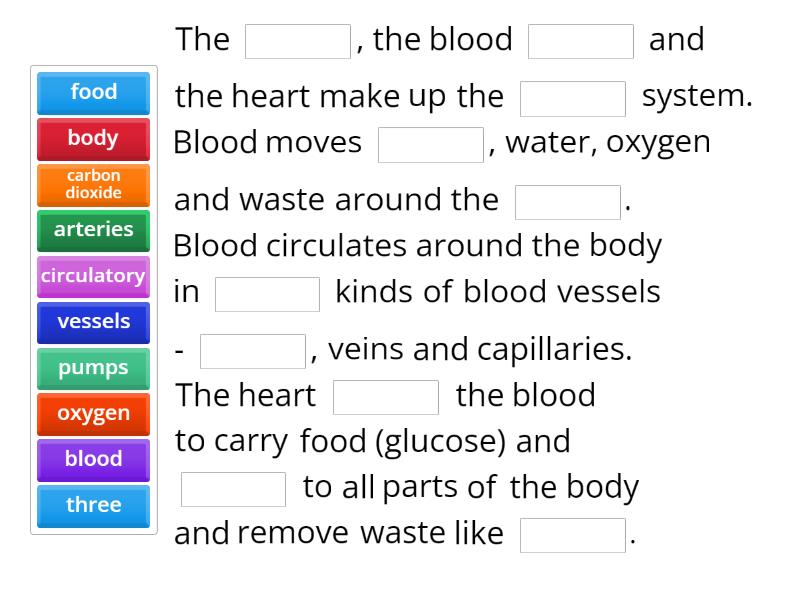 Circulation - Complete the sentence