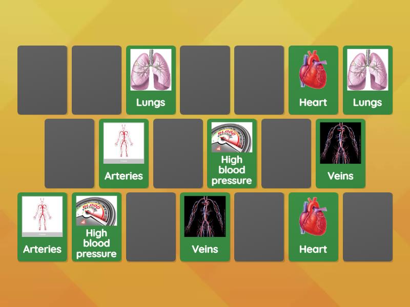 Circulatory System Memory Game - Matching pairs