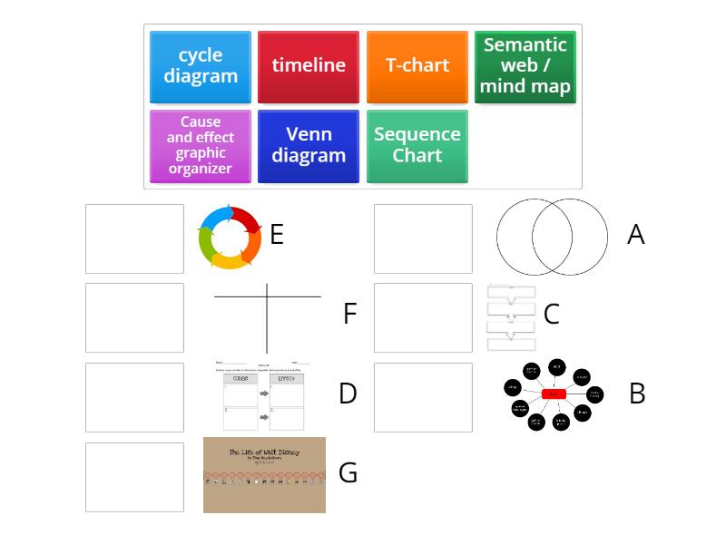 Kinds of Graphic organizers-matching - Une las parejas