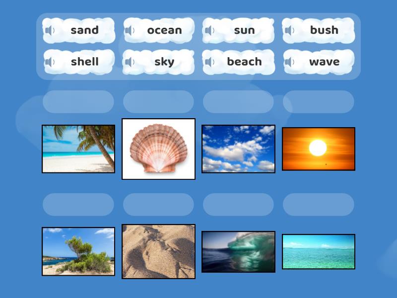Piper. Beach vocabulary. - Une las parejas