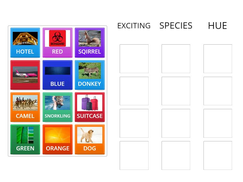 SORTING ACTIVITY - Group sort