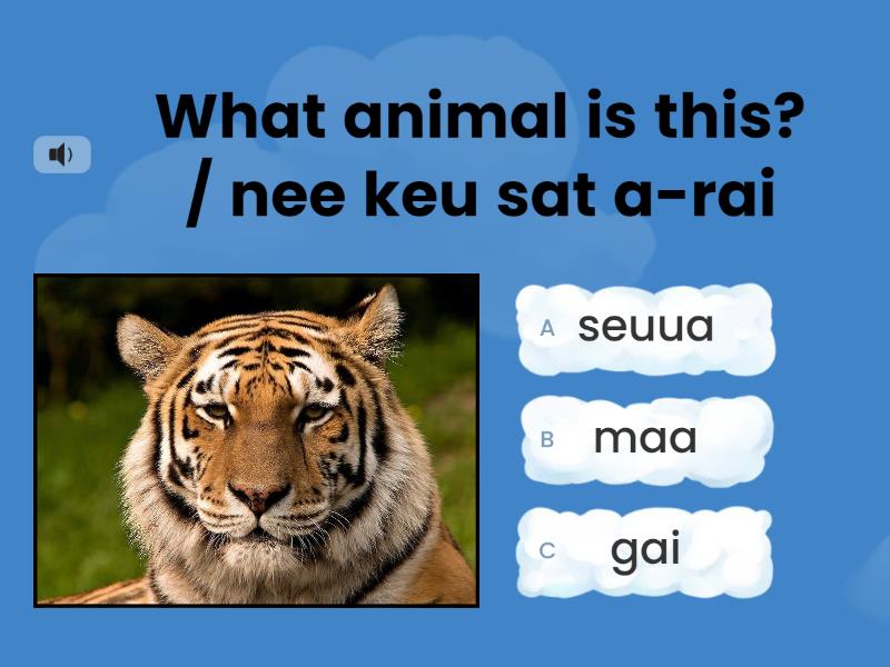 What animal is this? / nee keu sat a-rai / นี่คือสัตว์อะไร - Quiz