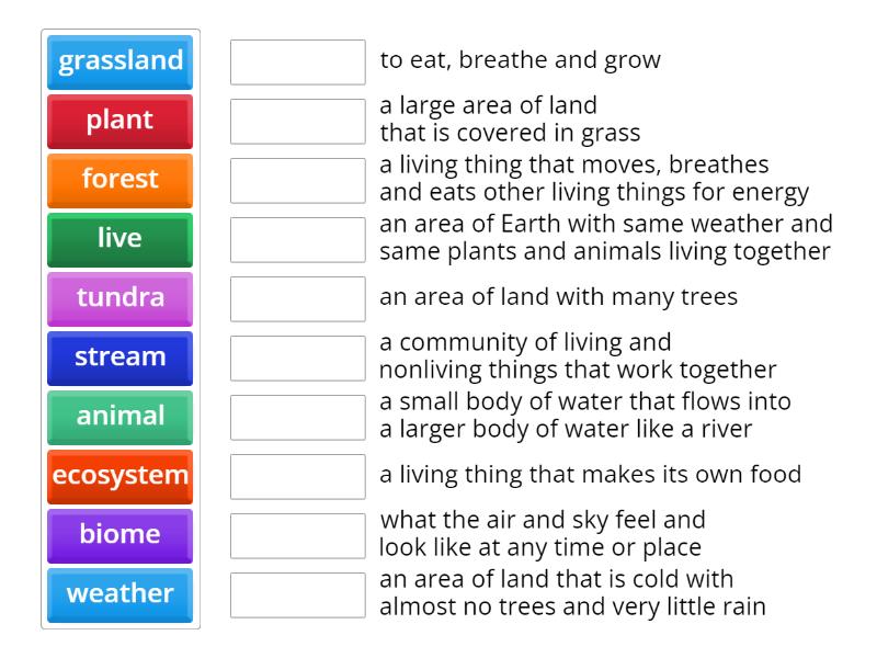 ULS Oct 2024 - Unit 12 What is an Ecosystem? - Match up