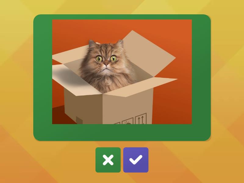 Hide-and-seek - Flash cards