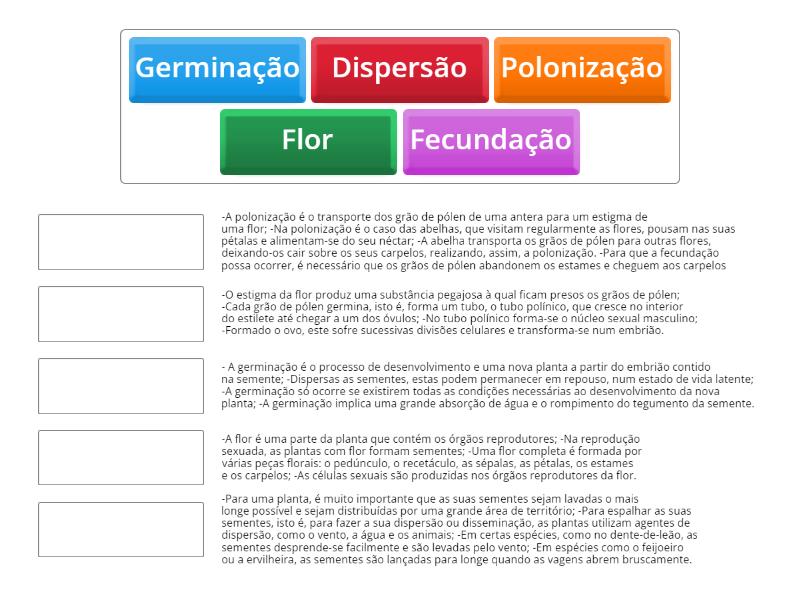 A reprodução nas plantas - Match up