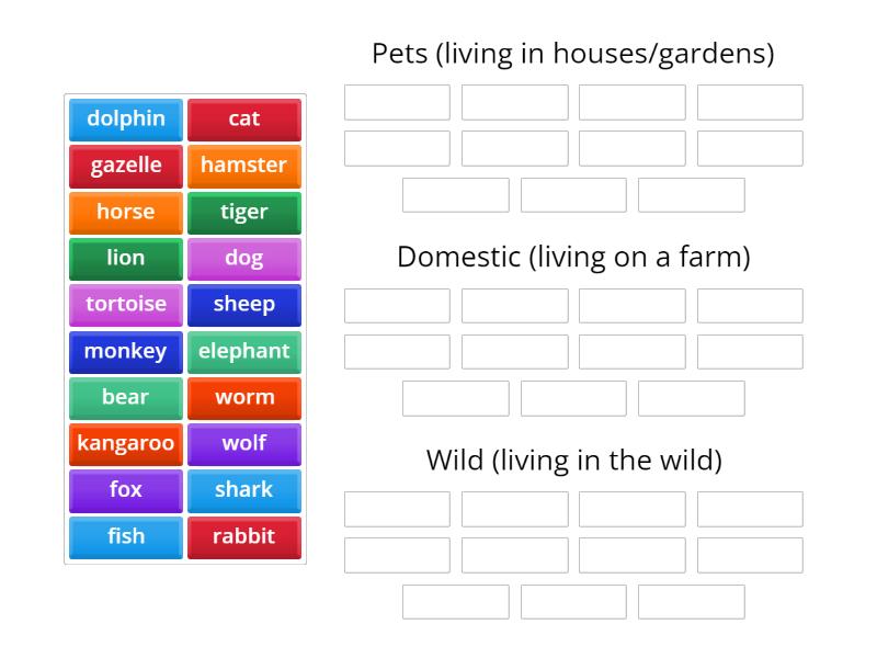 Classify the animals - Group sort