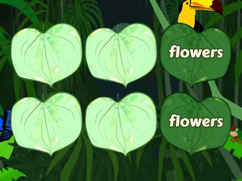 forest - Matching pairs