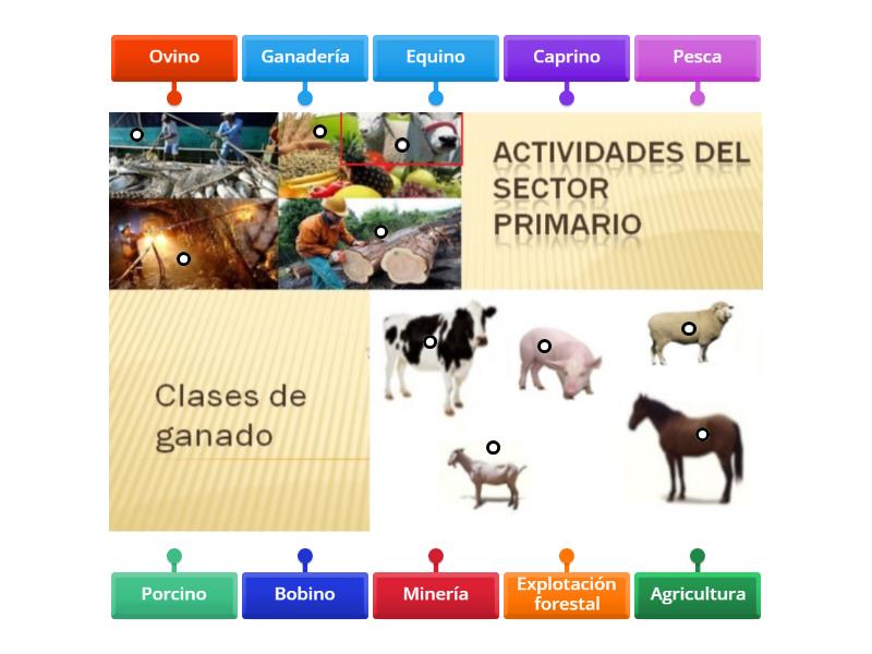 Actividades del sector primario - Labelled diagram