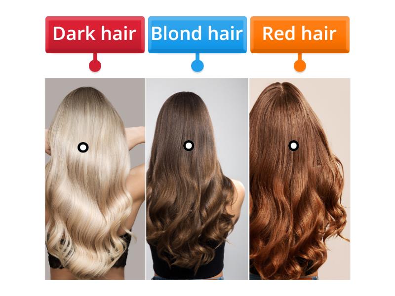 Hair colours - Labelled diagram